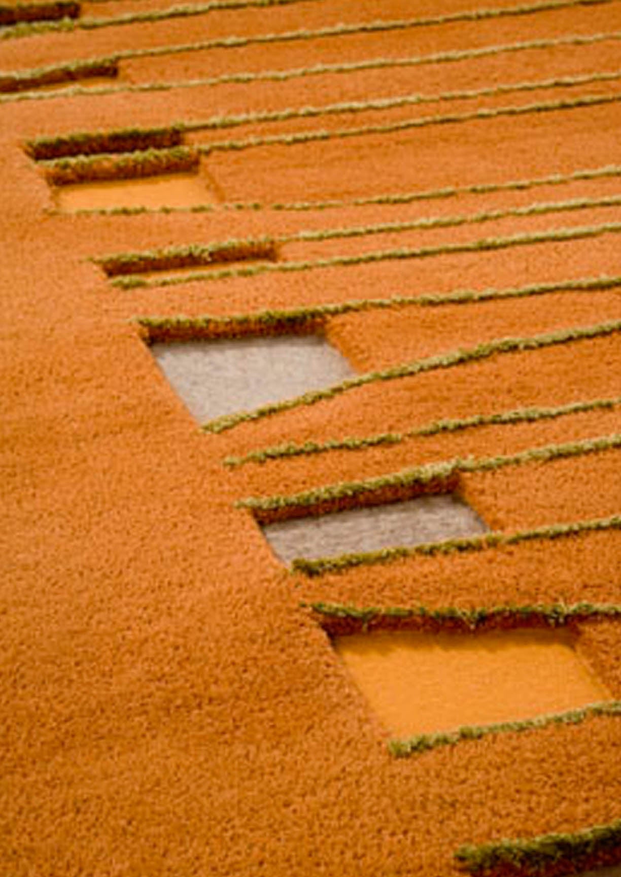 Contemporary Abstract Hand Tufted Orange Area Rug Carpet